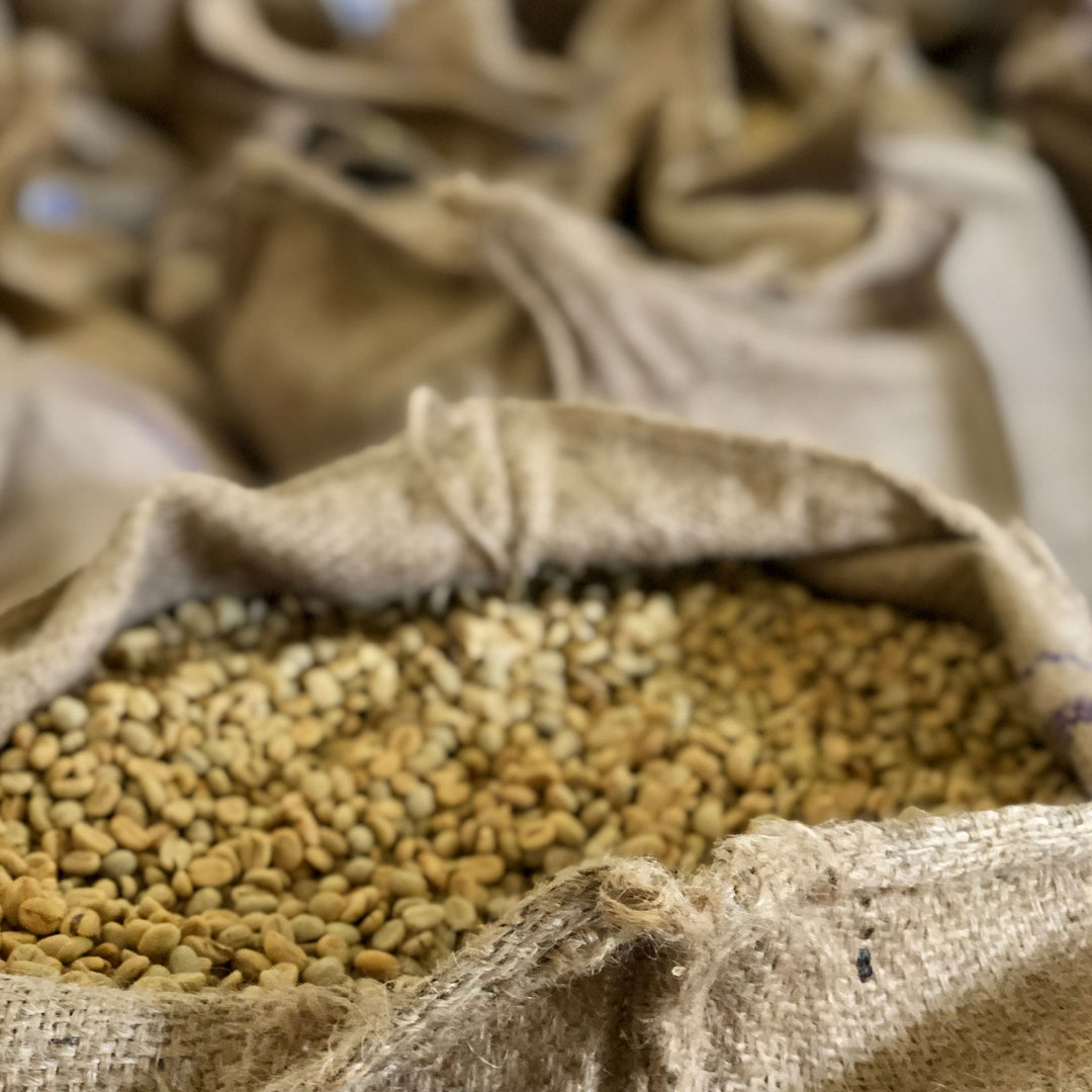 Color Coffee Primary | Blend | Premium Roasters in Eagle Colorado ...